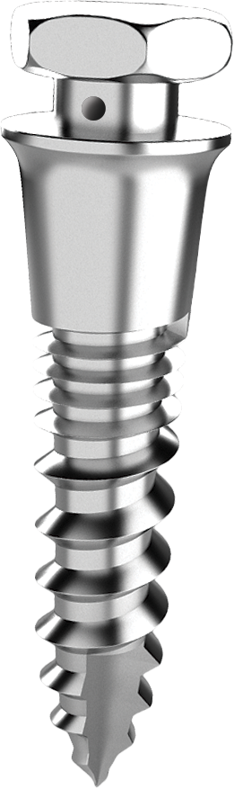 IOS Ortho. Infinity Maxillary Implant L 8.6 mm with Hole - Piece